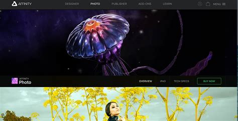 Top 11 Alternatives To GIMP In 2025 Free Open Source Online