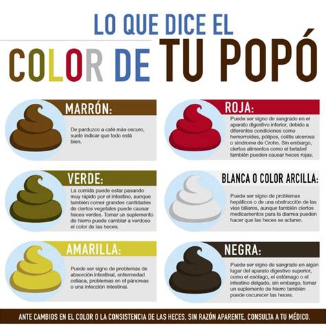 Lo Que Dice El Color De Tu Popo Jorge Còrdova Udocz