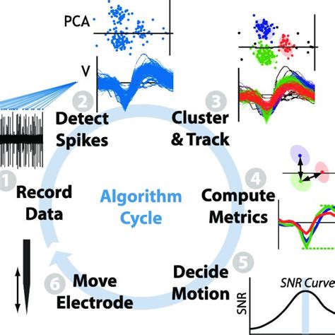 Diagram Of The Control Algorithm Cycle Depicting The Key Data Involved Download Scientific