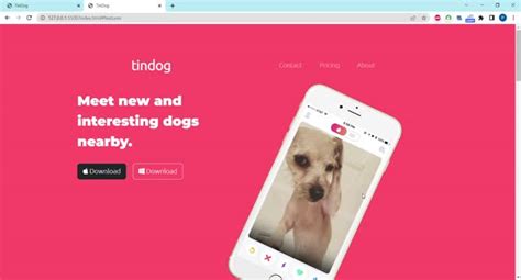 Prigya Gupta On Linkedin Html Css Bootstrap5