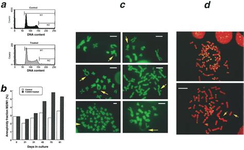 A And B Flow Cytometric Analysis Of The Changes In Cell Cycle Phases Download Scientific