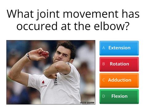 Skeletal System Quiz