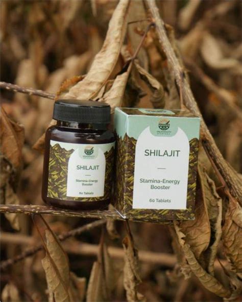 Ayurvedic Shilajit Tablets Buy Shilajit Tablets Online