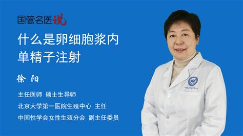 什么是卵细胞浆内单精子注射什么叫卵细胞浆内单精子注射卵细胞浆内单精子注射是什么北京大学第一医院生殖中心主任医师徐阳视频科普 中国医药信息查询平台
