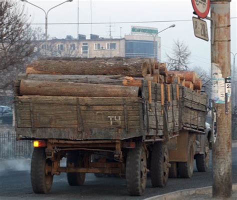 Д Очгэрэл Байгаль орчны эсрэг гэмт хэргийн дийлэнх нь модны хулгай байдаг Uuluurhai Mn