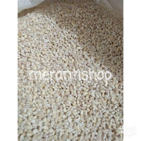 Jual Biji Jali Import Biji Barley Biji Jali Jali Pearl Gram Shopee Indonesia