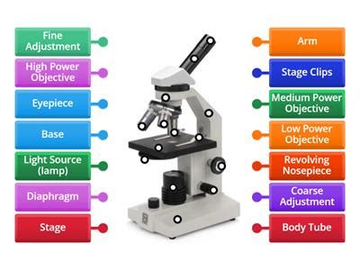 Microscope Identify Parts Teaching Resources