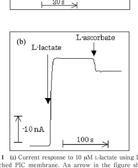 Figure 1 From Preparation Of L Lactate Biosensor That Uses Polyion Complex Membrane Containing
