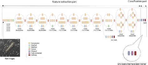 Figure 1 From Training Of Convolutional Neural Network Using Transfer Learning For Aedes Aegypti