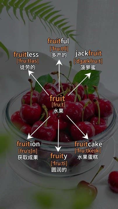 单词速记— Fruit 篇 学英语 英语词汇 Youtube