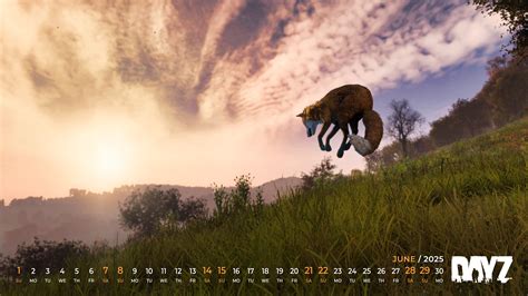 Dayz