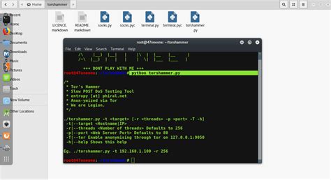 Best Ps4 Ip Booters Of 2025