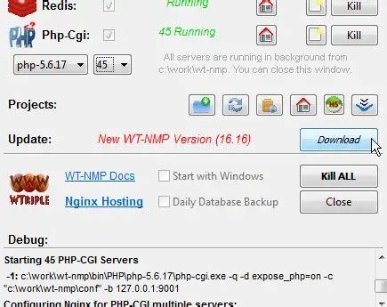 WinNMP Descarga De La Pila Windows Nginx MySql Php 8 Para Windows