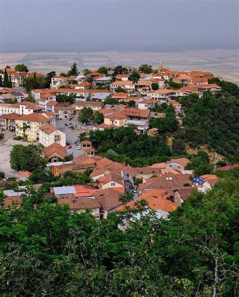 სიღნაღი სიღნაღი 0 Gel შპს რაჭა