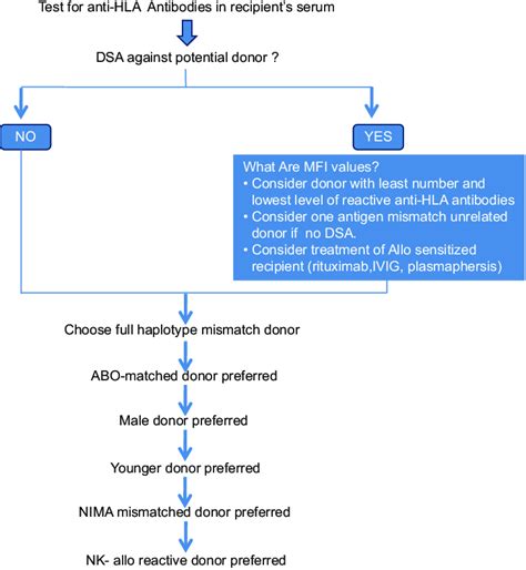 Factor Considered For Donor Selection Hla Human Leukocyte Antigen Download Scientific Diagram