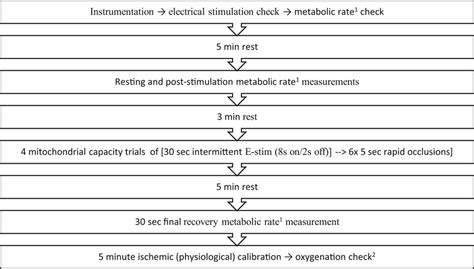 Bilateral Nirs Protocol This Sequence Of Steps Was Performed First