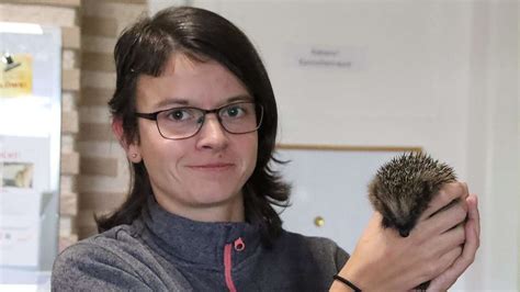 Igel In Not Tierheim Hilft Scheuen Jungen Tieren