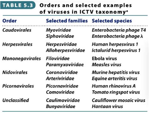 BIOL 240 Midterm 2 Flashcards Quizlet BIOL 240 Midterm 2 Flashcards Quizlet