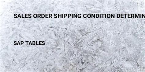 Sales Order Shipping Condition Determination Table In Sap