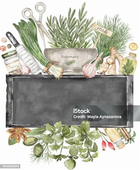 수채화 향신료 및 허브 칠판 테두리 프레임 요리 디자인 손으로 그린 향신료 뿌리 생강 양파 마늘 종이 및 주방 용품 클립 아트 메뉴 화환 라벨 로고 백리향에 대한 스톡 벡터