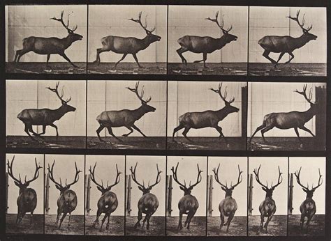 32 Small Multiples Visual Explorations In Architecture And Information