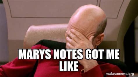 Marys Notes Got Me Like Picard Facepalm Meme Generator