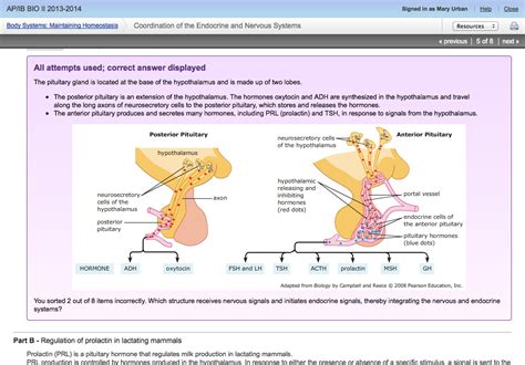 Mastering Biology Mbbody Systems Regulation Of Prolactin In Lactating