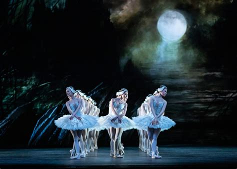 Swan Lake The Royal Ballet Live Corinium Museum