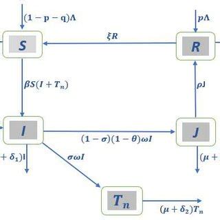Schematic Diagram Describing The Interaction Between Individuals In Download Scientific Diagram