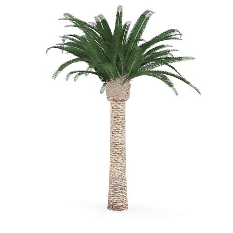 Pineapple 3d Models Download Page 2 Free3d