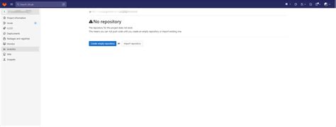 Repositories Lost After Restart Gitlab General Gitlab Forum