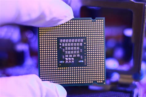 컴퓨터 하드웨어 서비스 개념 데스크탑 Pc 또는 노트북 회로 기판 수리 기술자 사람은 Pcb 소켓에 프로세서 칩을 설치합니다 0