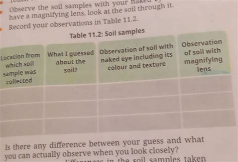 Observe The Soil Samples With Your Naked Eye StudyX
