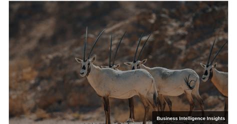 Default Component Free React Mui Component