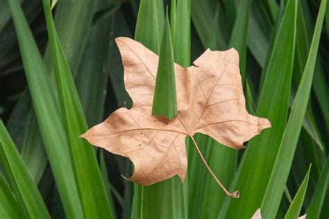 Annegret Kellner — 0 1gallery Annegret Kellner — 0 1gallery