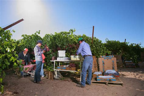 Producepay Pays It Forward To Small Farmers Growing Perishable Crops
