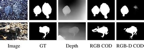 Figure From Depth Guided Camouflaged Object Detection Semantic Scholar