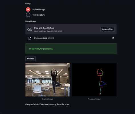 GitHub Edouarde Yoga Pose Classification