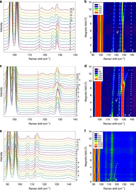 Raman Spectra And Contour Maps In 014 T Magnetic Fields A B1 C