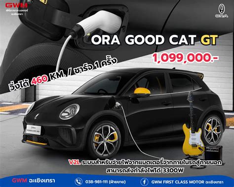 เหมียวสายสปอร์ต Gwm First Class Motor ฉะเชิงเทรา