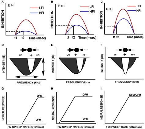 Ac The Difference In Arrival Time Of Low Frequency Inhibition Lfi