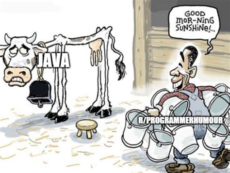 java bad r programmerhumor