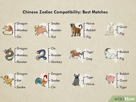 Chinese Zodiac Chart Compatibility