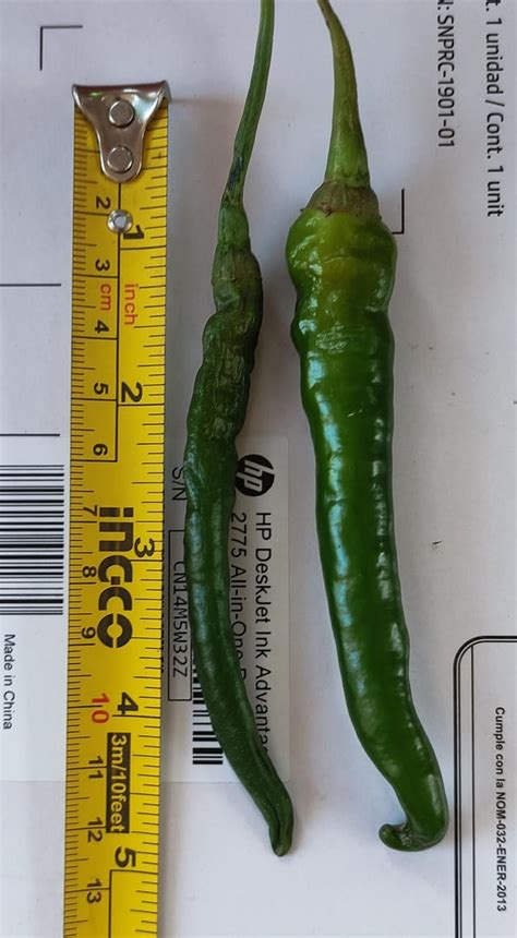 Question How Do I Make A Circuit That Detects The Final Growth Stage Of Crops R Redstone