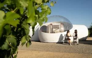 Valle De Guadalupe Wine Route And Gourmet Dining Guide Hello Ensenada