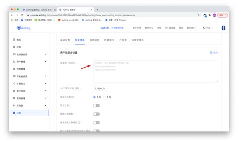 配置 Web 安全域 Authing 文档