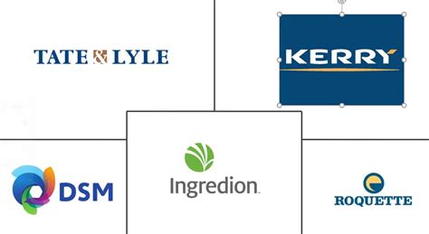 유럽 설탕 대체 시장 규모 및 점유율 분석 산업 연구 보고서 성장 동향