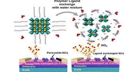 Exploring The Frontiers Of Gas Sensing Technology Qs Papers