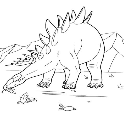 T M U Kh Ng Long Tranh T M U Cho B