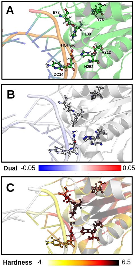 Reactivity Maps For The 1dnk Structure From The L3 Treatment Level A Download Scientific
